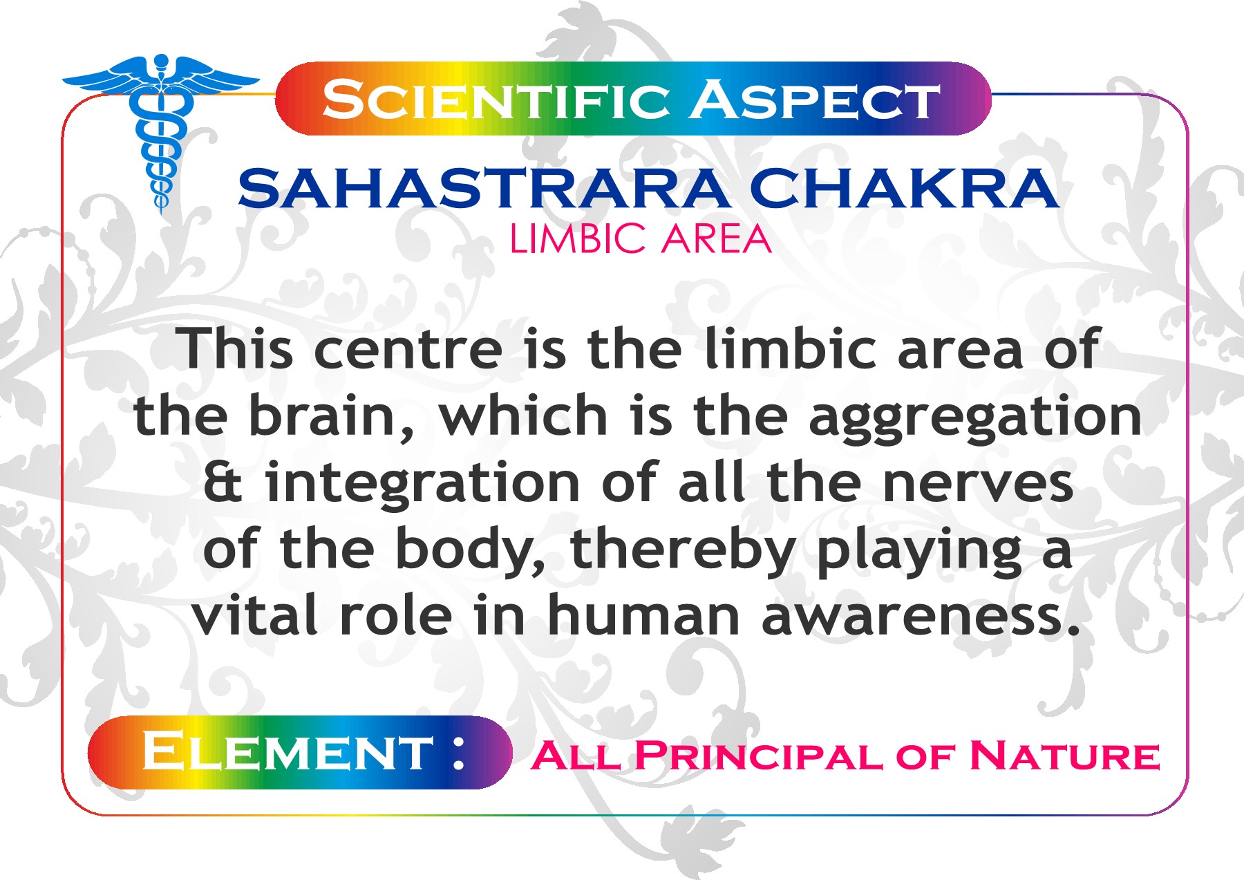 Sahasrara Chakra – Spreading Sahaja Yoga